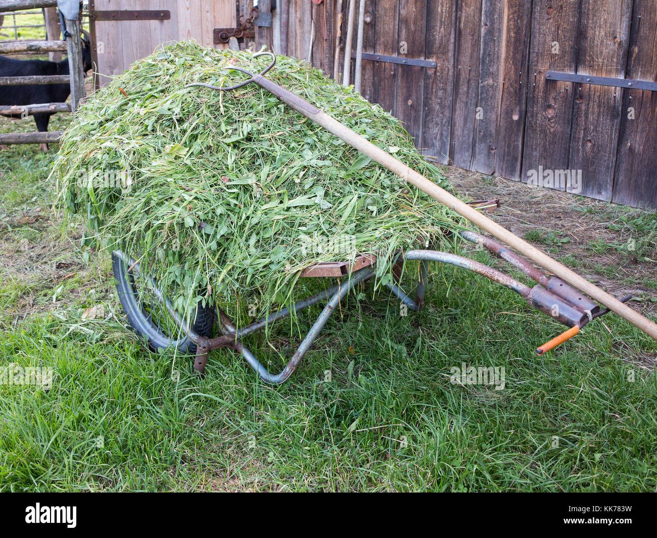 Loaded wheelbarrow hi-res stock photography and images - Alamy