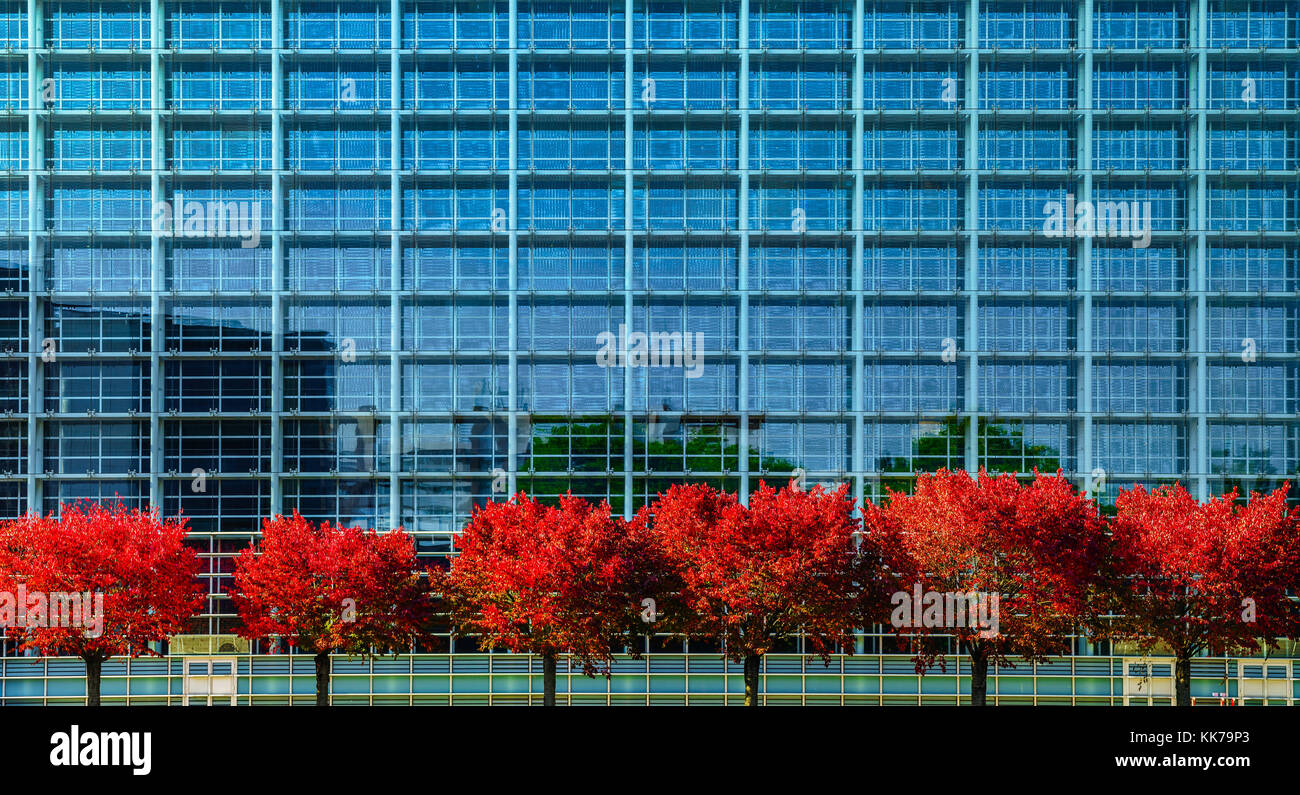 European Parliament in Strasbourg, autumnal view with red trees, France ...