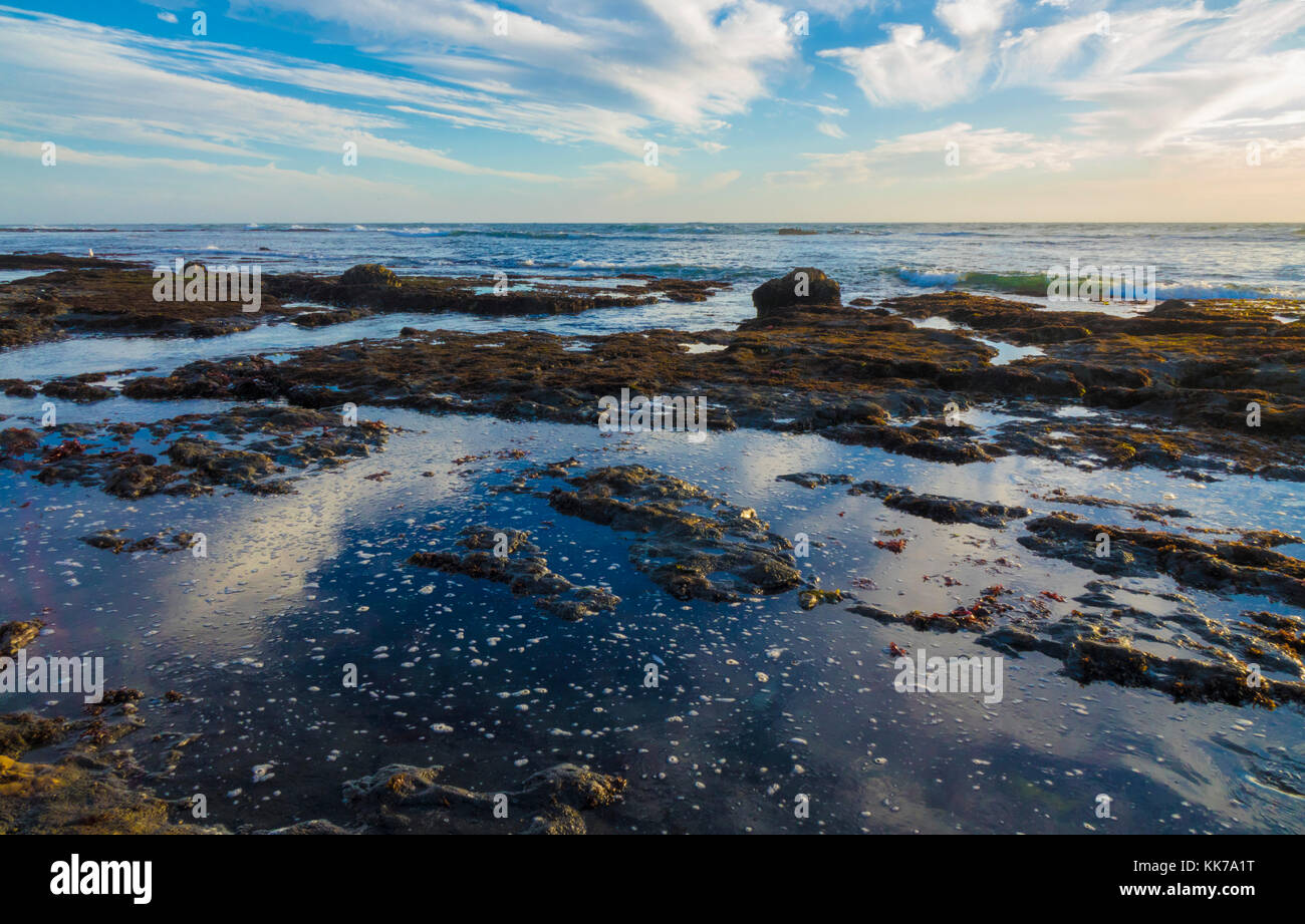 Beach tidepools hi-res stock photography and images - Alamy