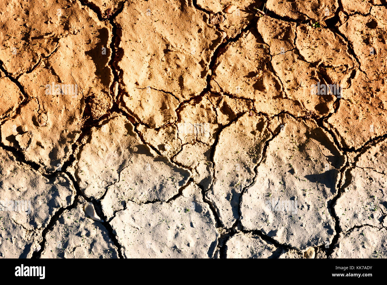 Close-up of dried cracked mud with fissures and gaps in the dried arid ...