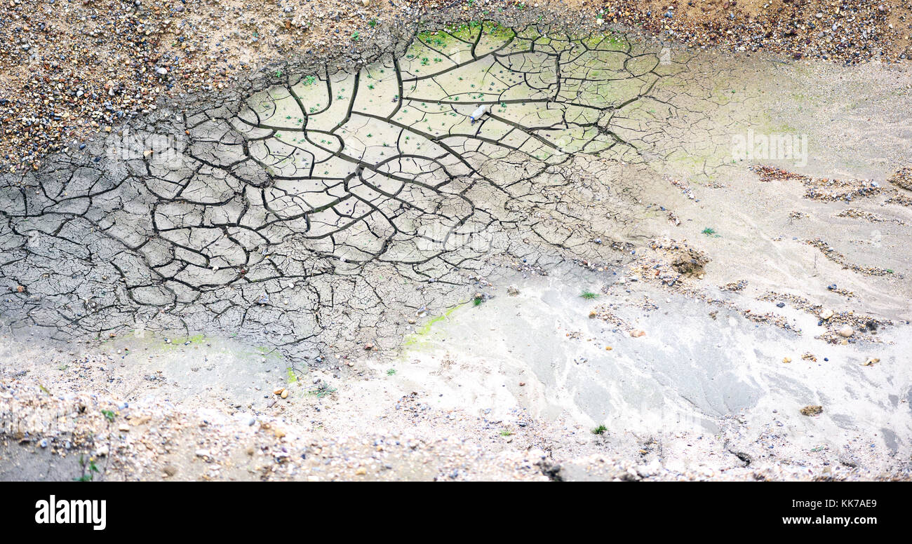 Dried river bed with cracked dry mud on the bed with copy space area ...
