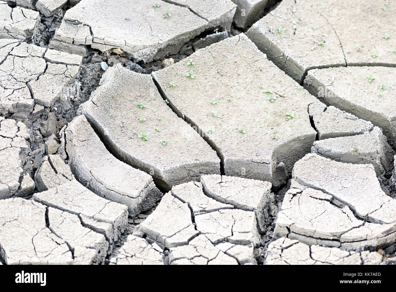 Cracked arid mud earth with large fissures and splits in the earth ...