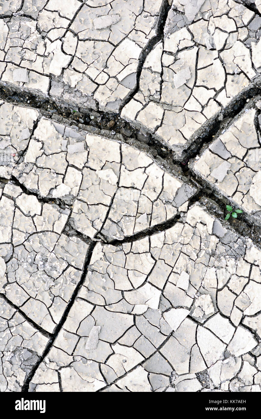 Cracked arid mud earth with large fissures and splits in the earth ...