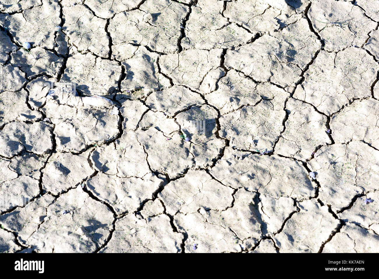 Close-up of dried cracked mud with fissures and gaps in the dried arid ...