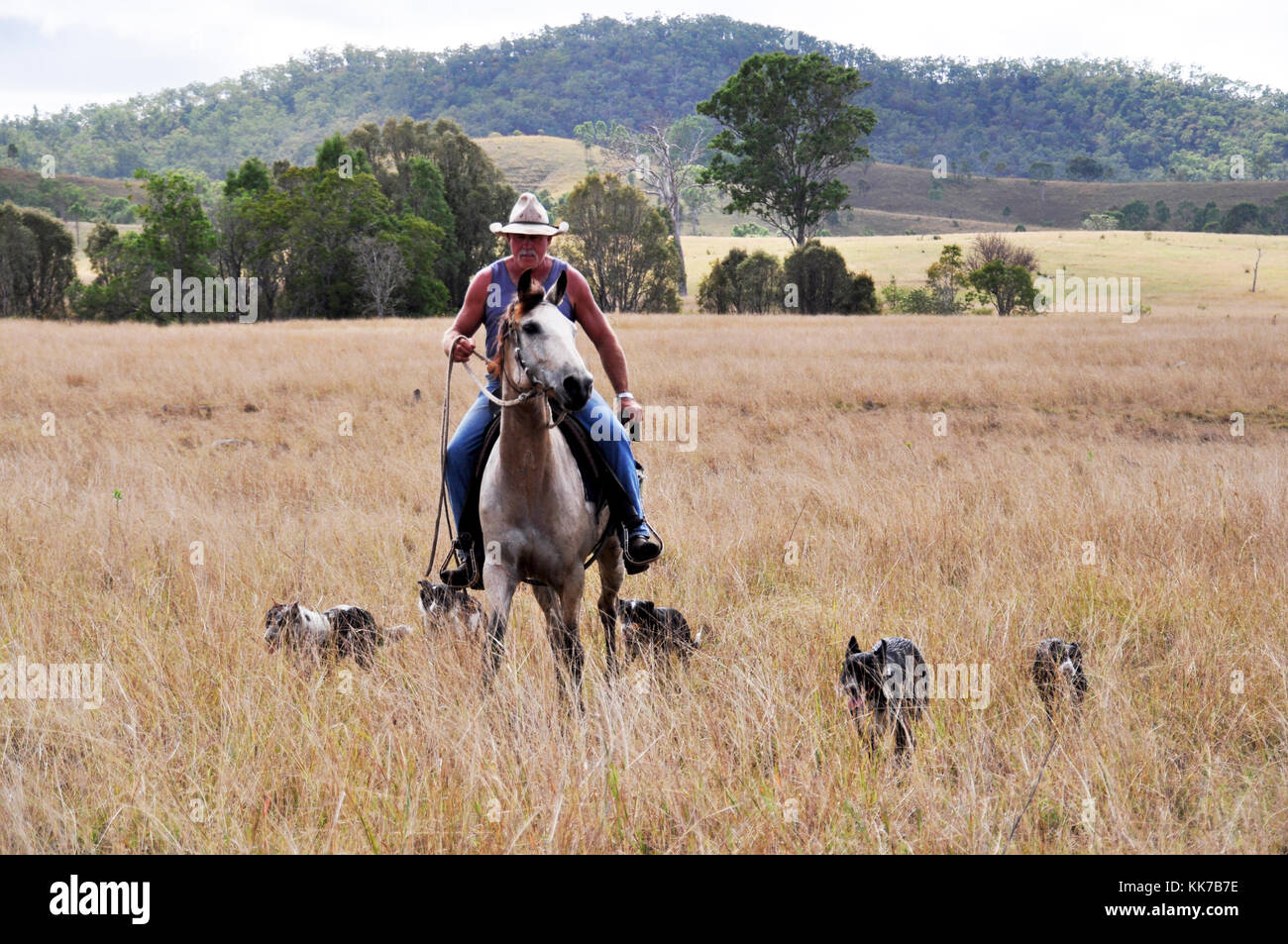 STOCK MAN. CATTLE MEN Stock Photo - Alamy