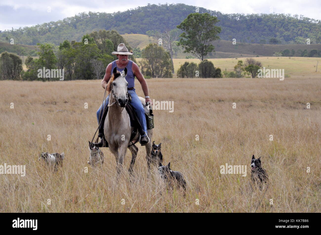 STOCK MAN. CATTLE MEN Stock Photo - Alamy