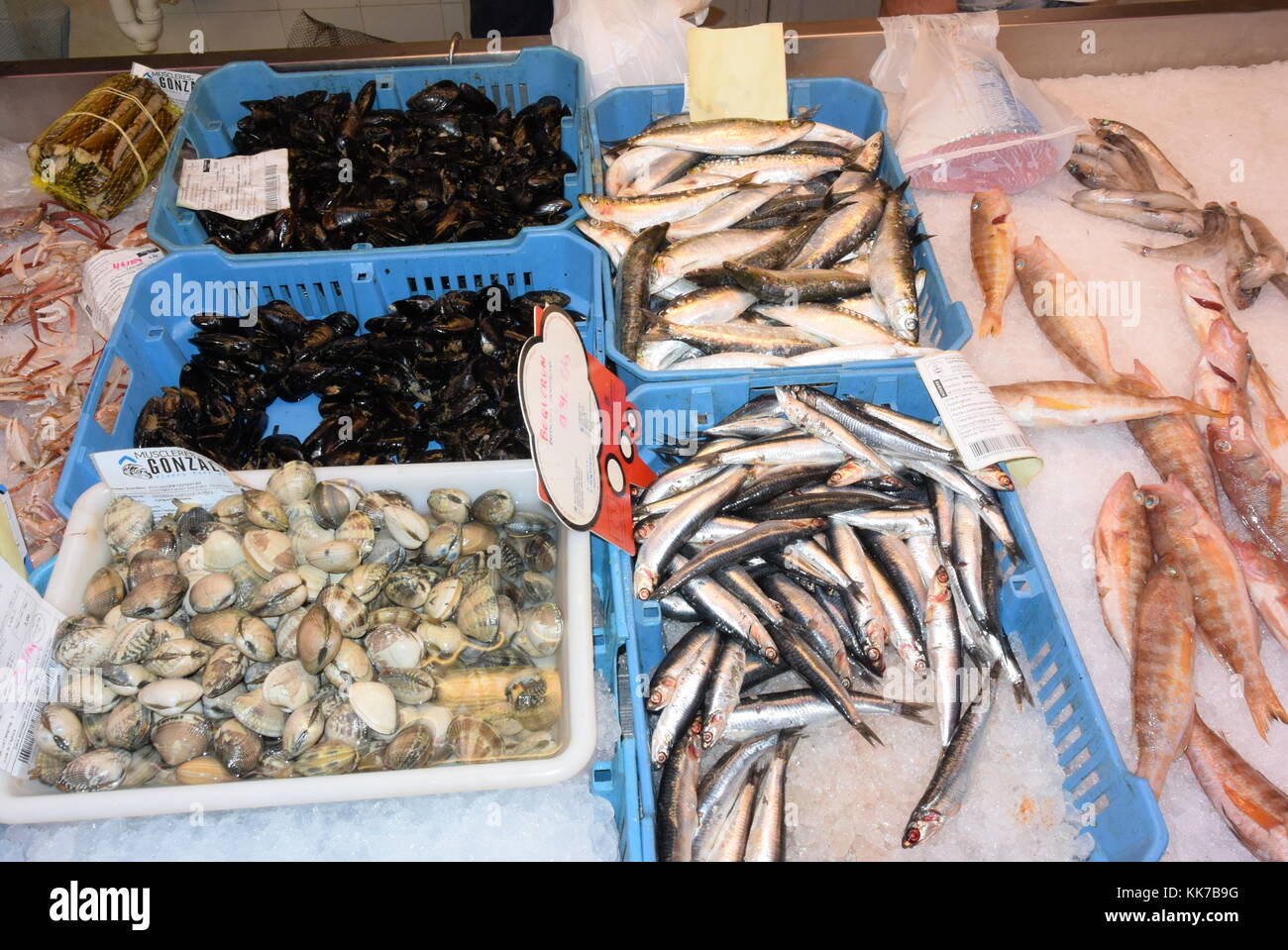 Fish Market / Mercado de Pescados, Mahon, Mallorca, Ballearic Islands ...