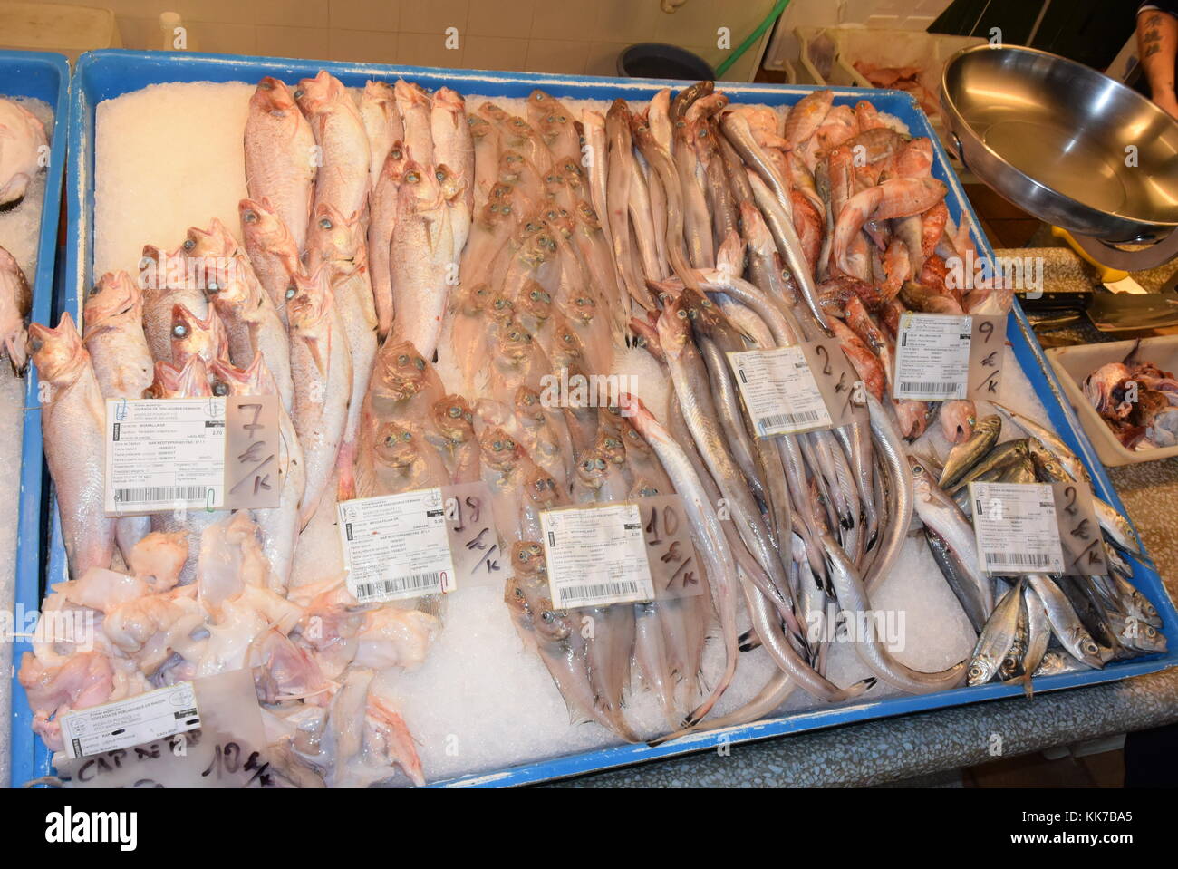 Fish Market / Mercado de Pescados, Mahon, Mallorca, Ballearic Islands ...