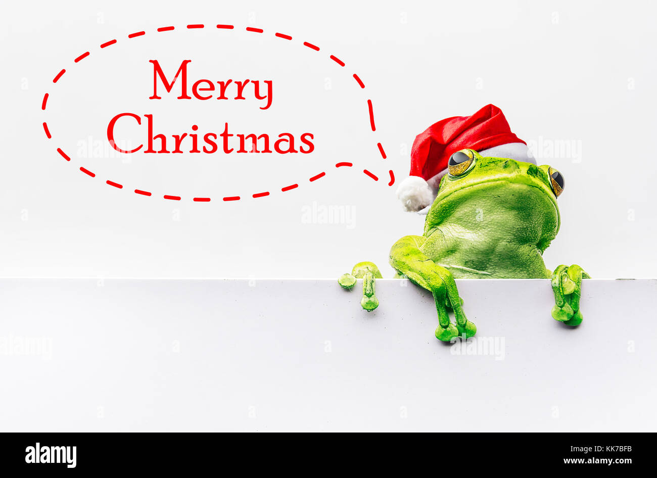 frog with Christmas hat isolated on white background Stock Photo - Alamy