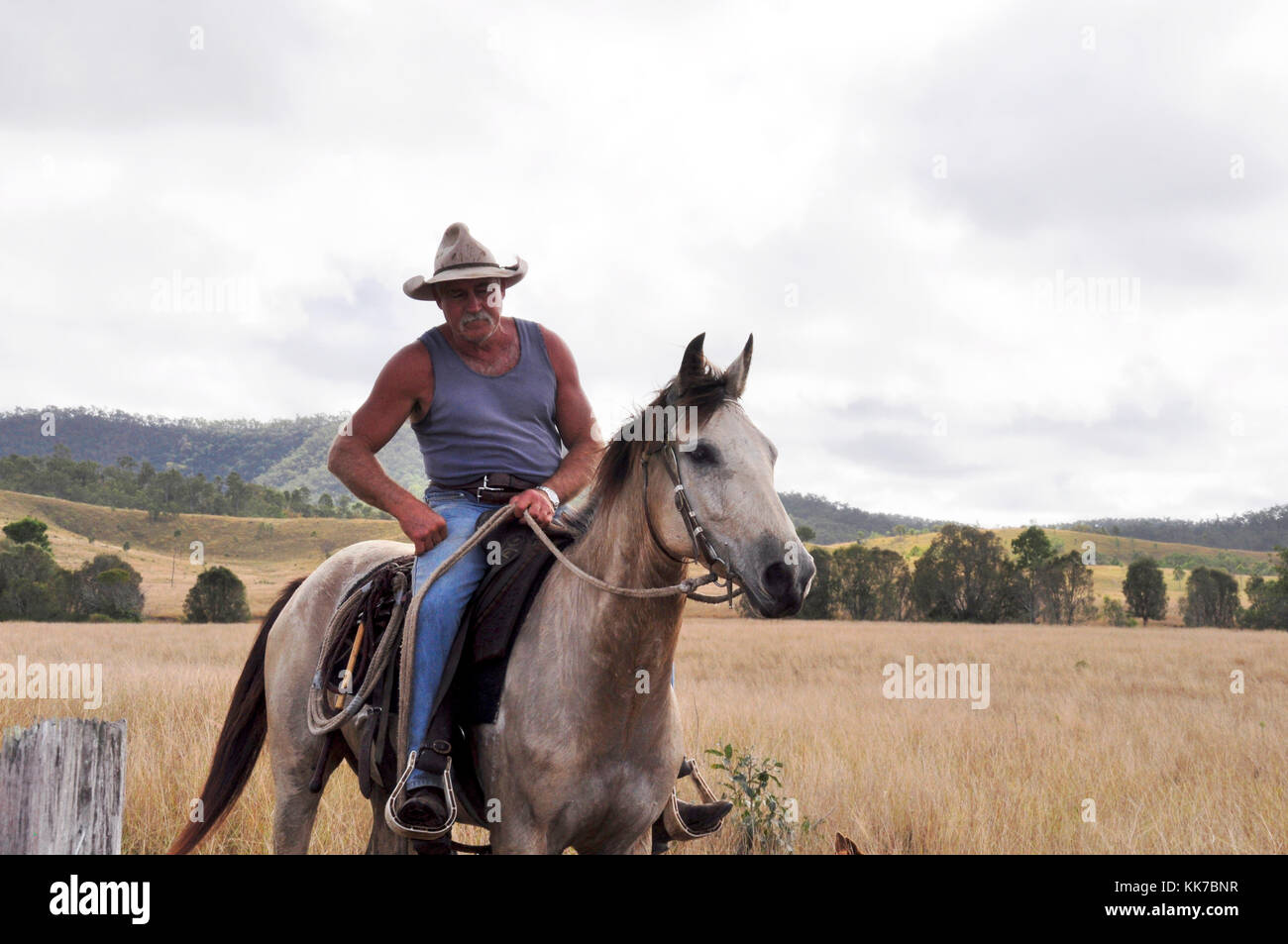 STOCK MAN. CATTLE MEN. RINGERS Stock Photo - Alamy