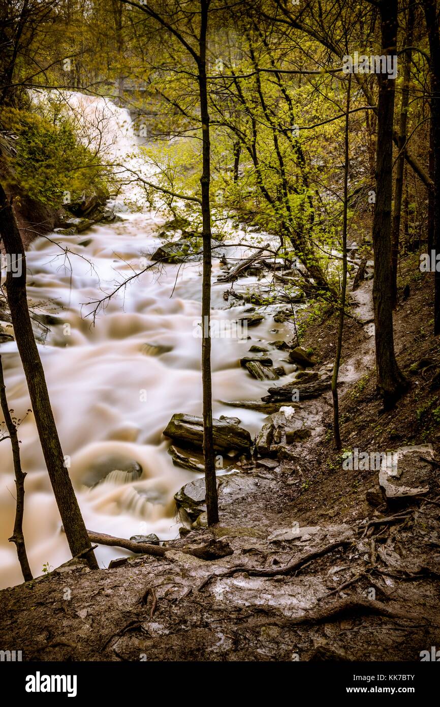 Jungle water fall hi-res stock photography and images - Alamy