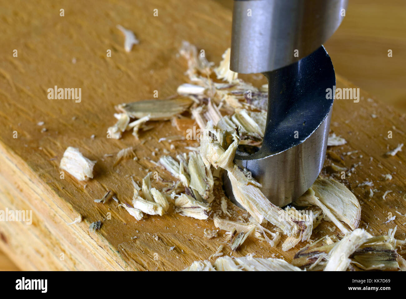 Drilling wood. Horizontal close up of wood drill bit and shavings Stock ...