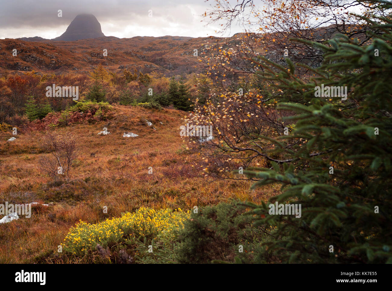 Suilven Sutherland, Scotland Stock Photo - Alamy
