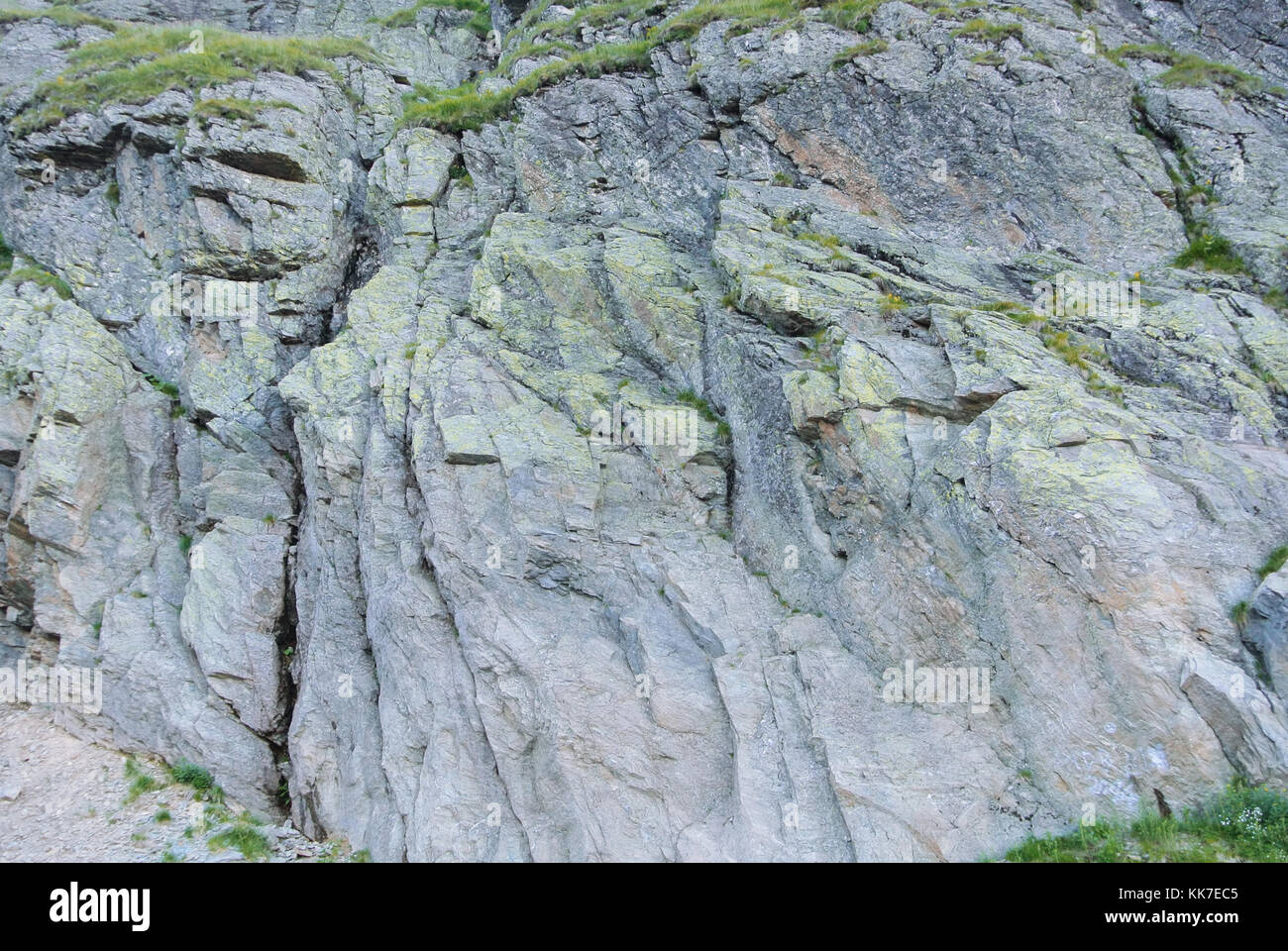 Close up of details of natural rock cut texture and green alpine grass ...