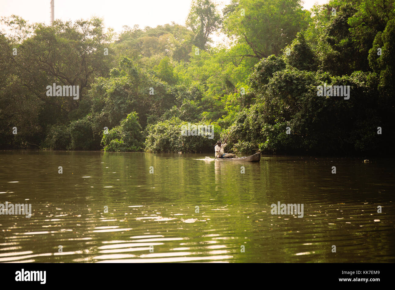 A local fisherman in the Cumbarjua canal, Goa, India. The Cumbarjua ...