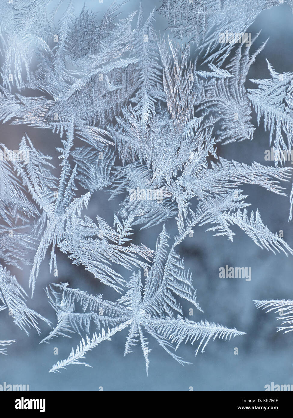 Fancy pattern of the hoarfrost on the window Stock Photo - Alamy