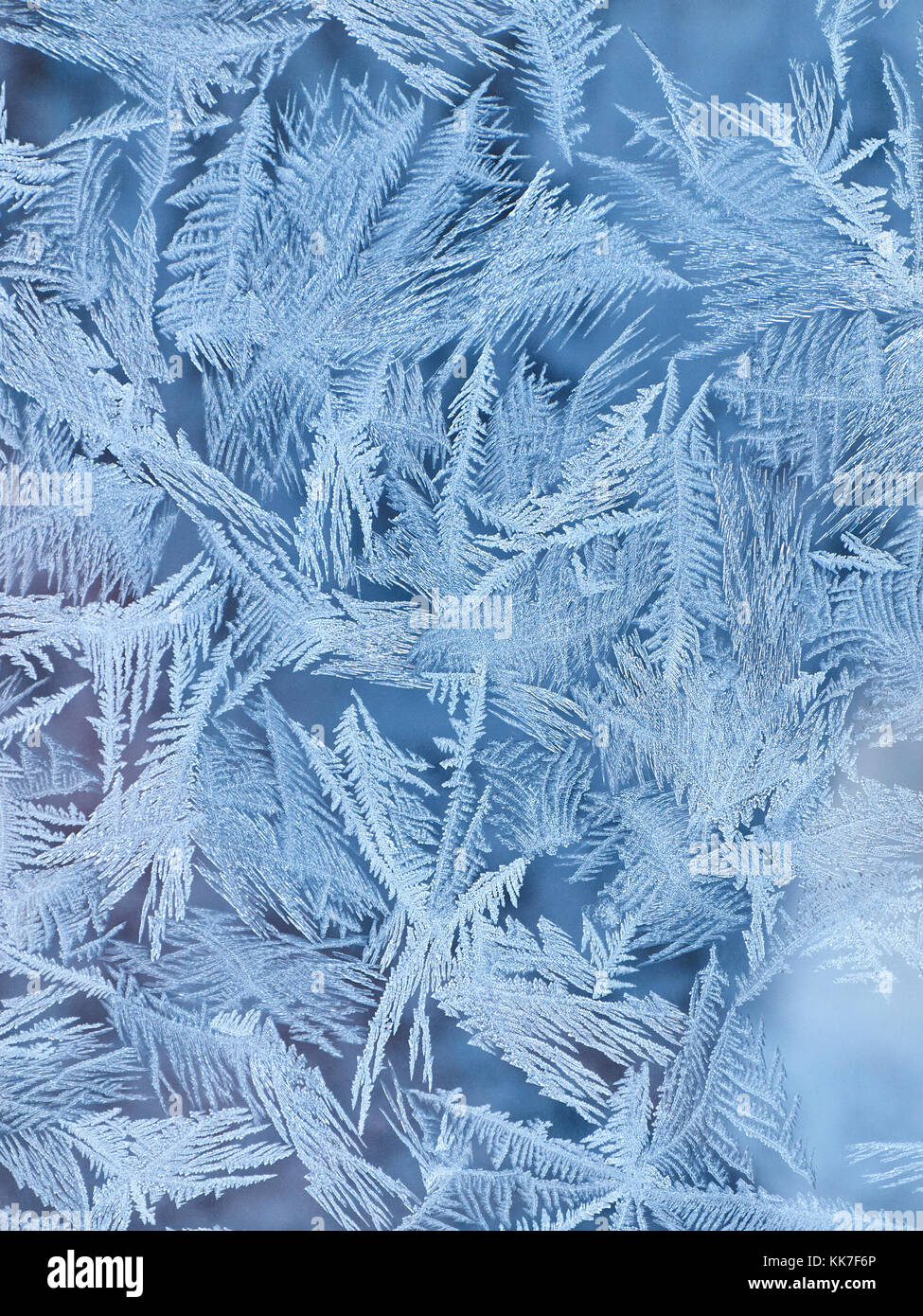Fancy pattern of the hoarfrost on the window glass Stock Photo - Alamy