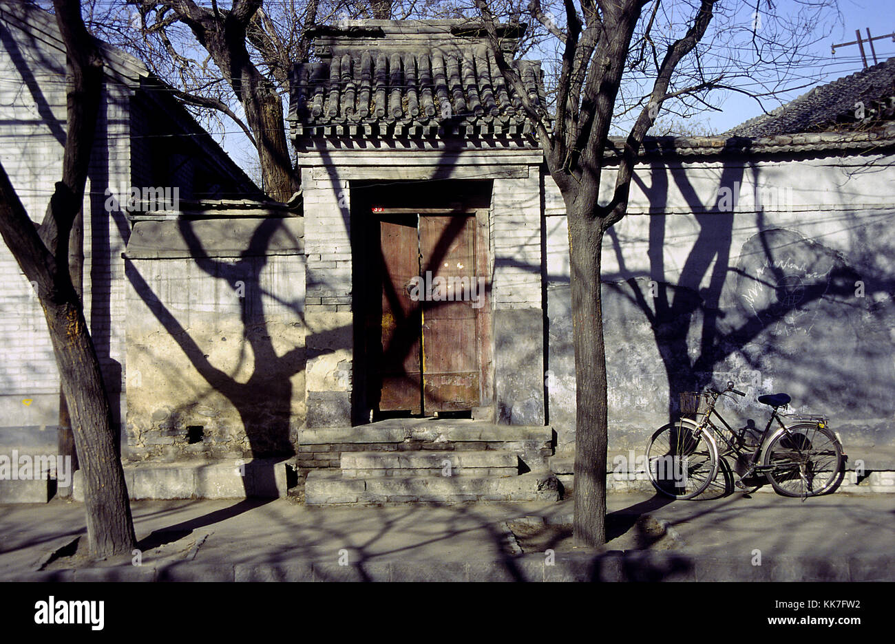 Trees cast shadows on hi-res stock photography and images - Alamy