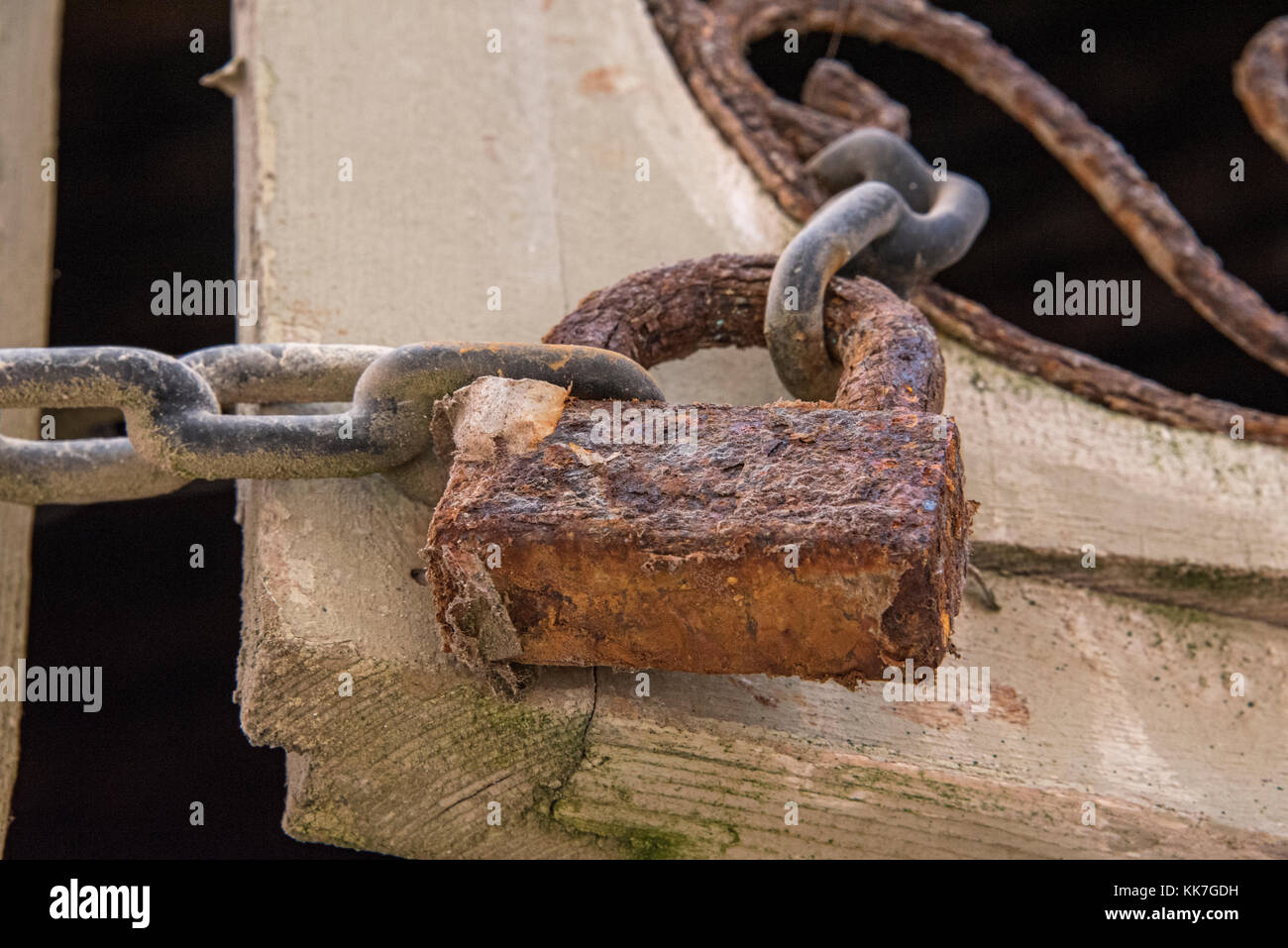 Rusty padlock & chain. Holding together shutter with rusted filigree ...