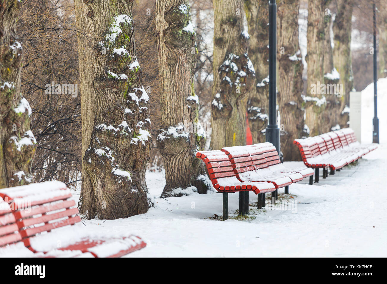 Winter season in park Stock Photo - Alamy