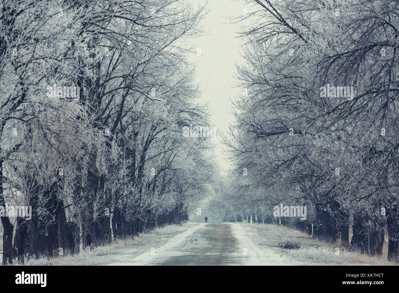 Snow covered alley in the winter Stock Photo - Alamy