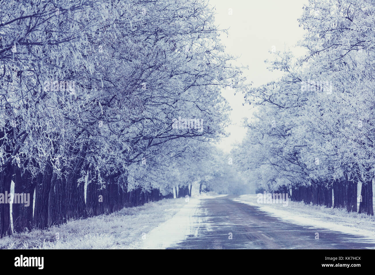Snow covered alley in the winter Stock Photo - Alamy