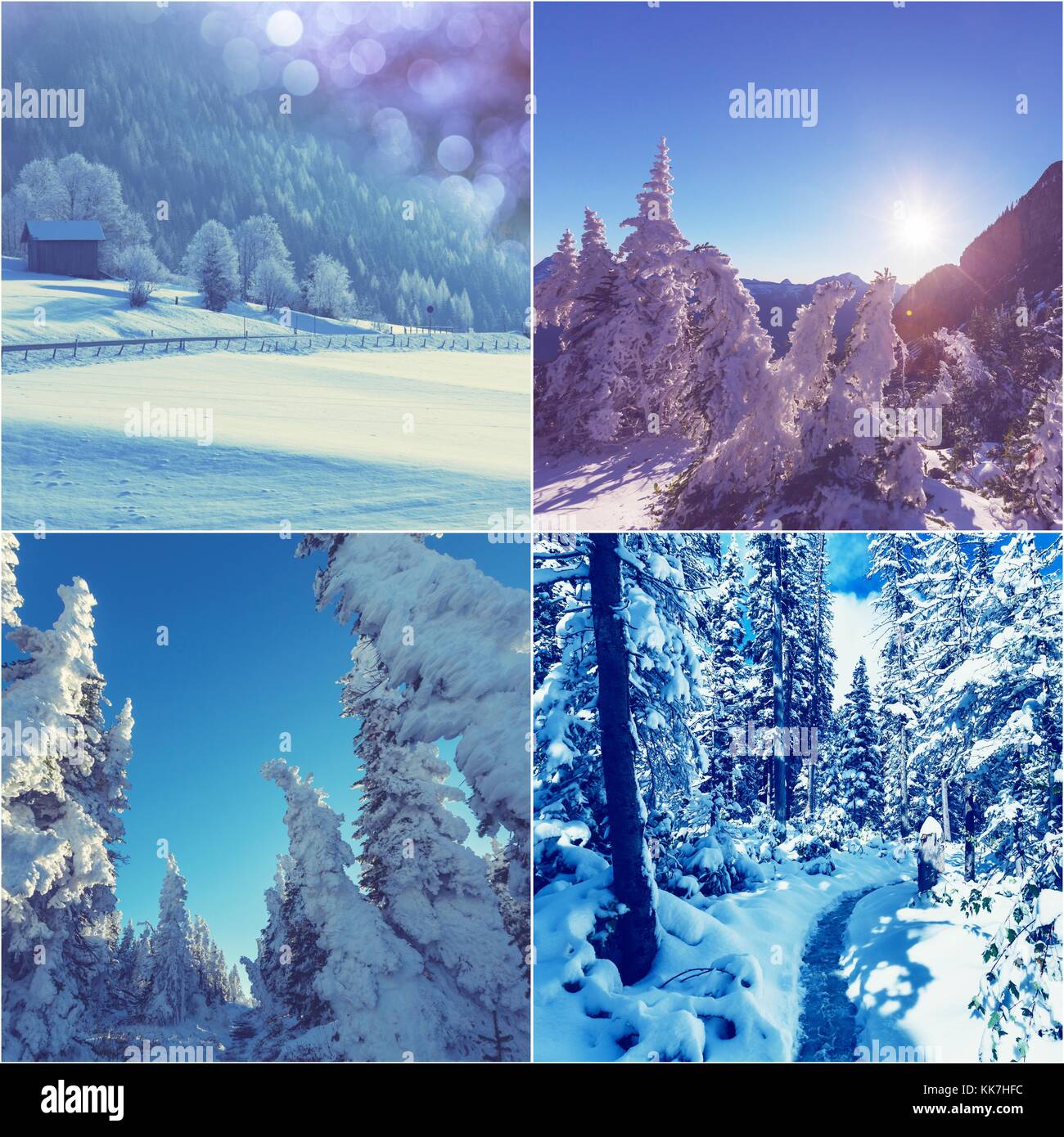 winter vacation collage Stock Photo - Alamy