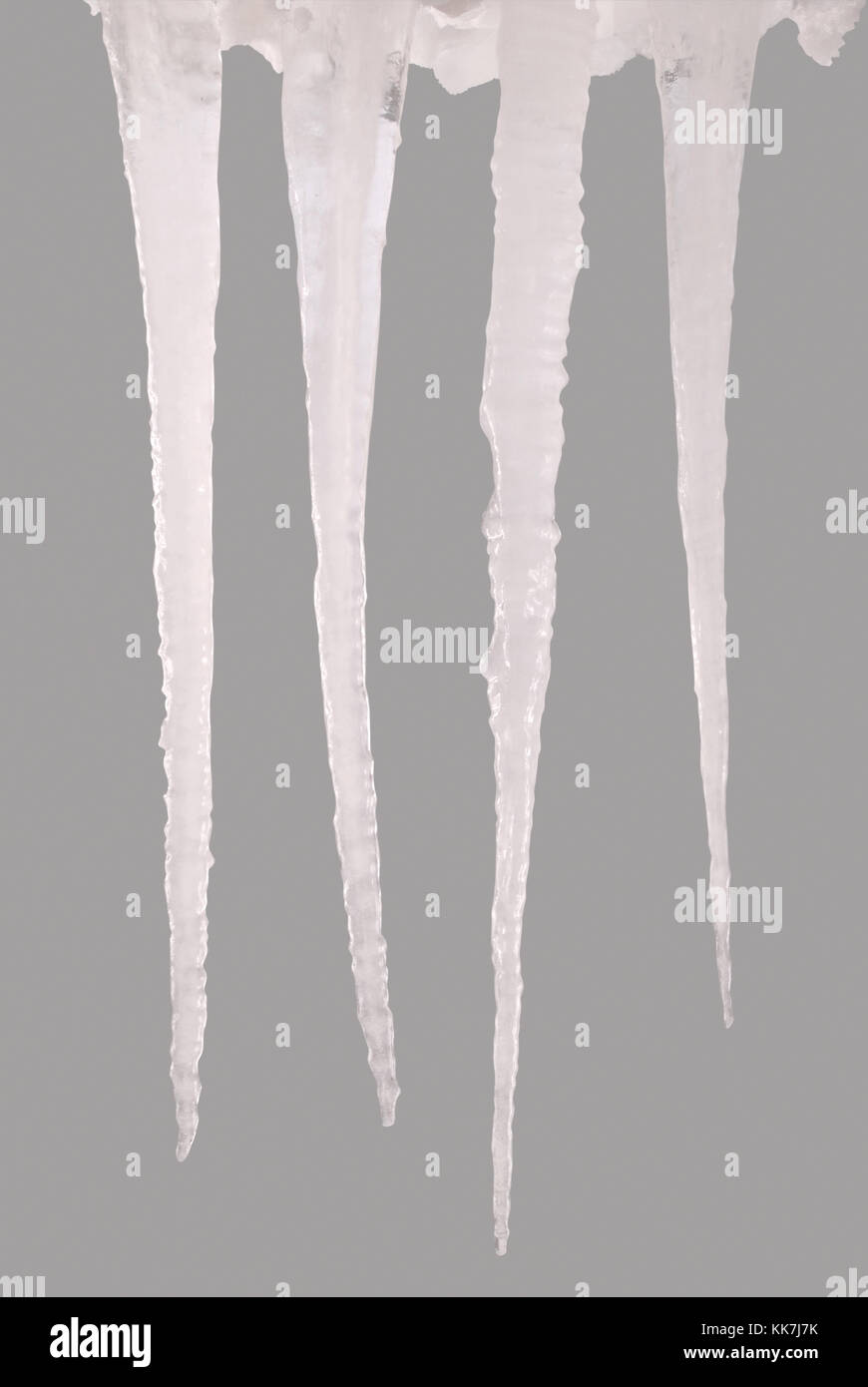 Icicles isolated on a grey background. Frozen water. Clipping path ...