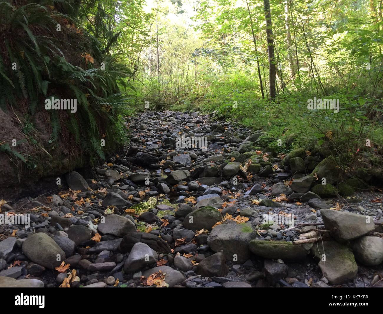 Hedrick Creek's current double box culvert will be replaced with a 40 ...