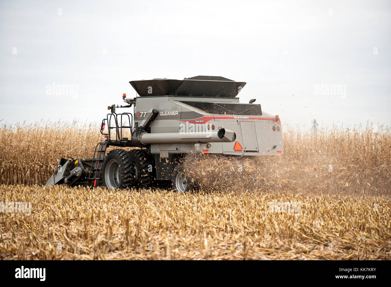 REAR VIEW OF GLEANER COMBINE HARVESTING CORN ON A FARM IN BLOOMING ... REAR VIEW OF GLEANER COMBINE HARVESTING CORN ON A FARM IN BLOOMING ...