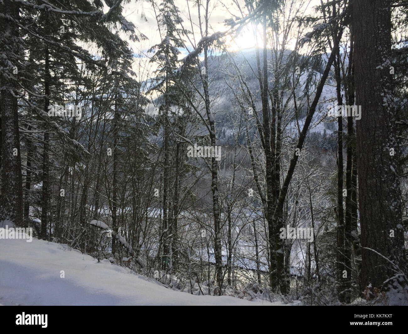 View from a scenic overlook along SR 542 between Kendall and Maple ...