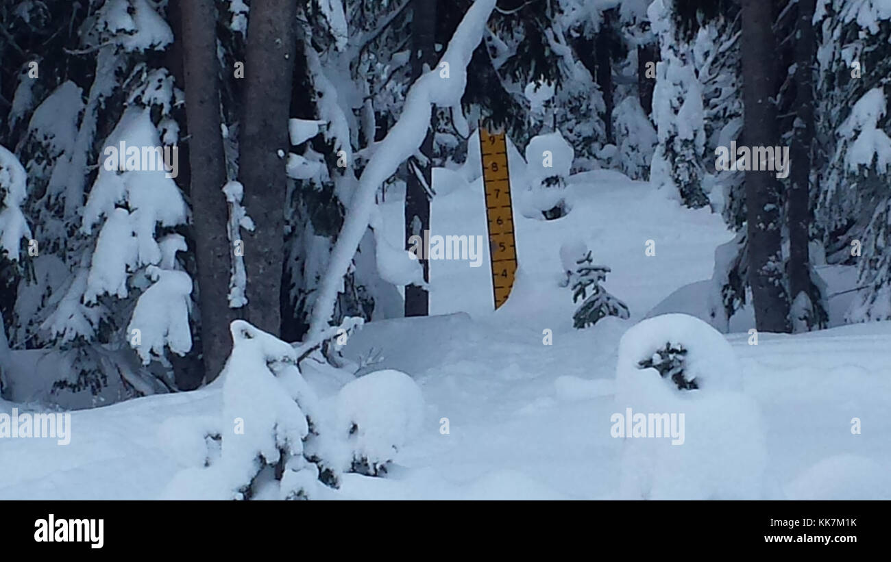 Total snow in one area along SR 20 North Cascades Highway on Monday ...