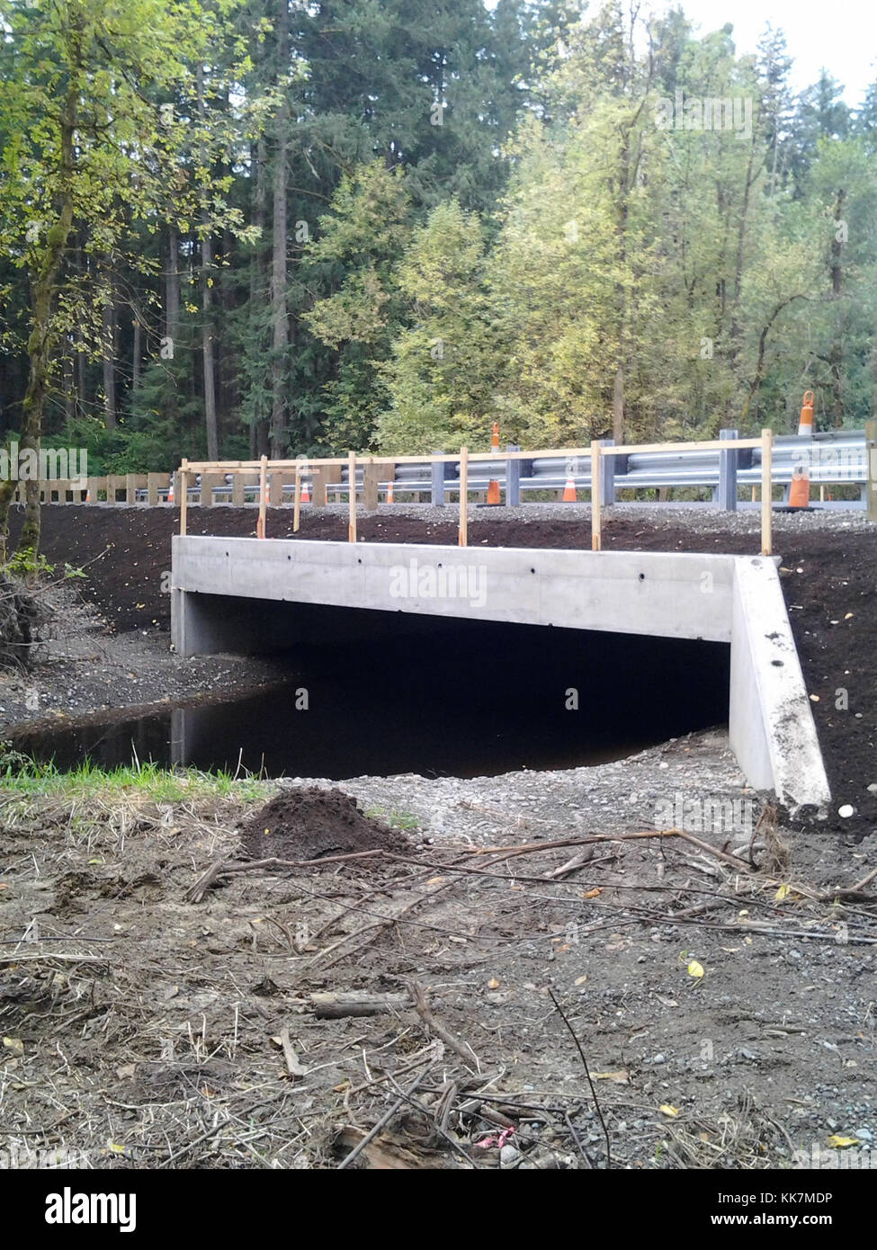 This summer, WSDOT removed three culverts under State Route 121/Tilley ...