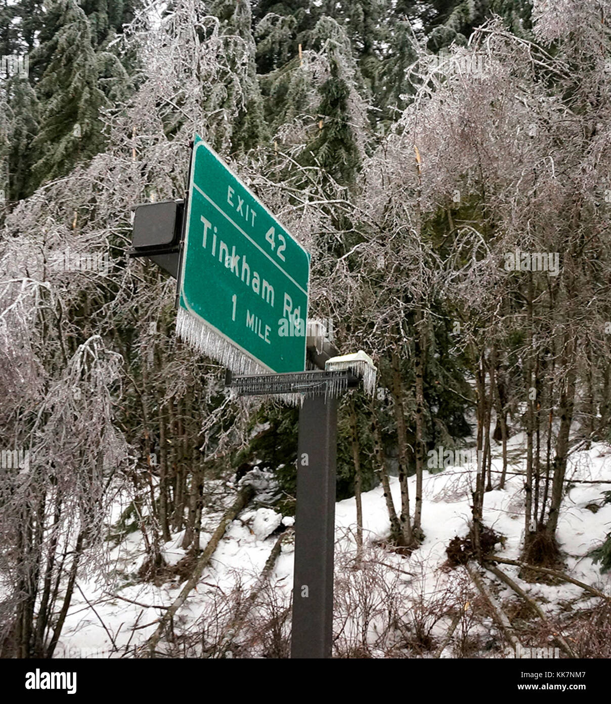 Due to due to icy conditions, fallen trees and sliding snow making it ...