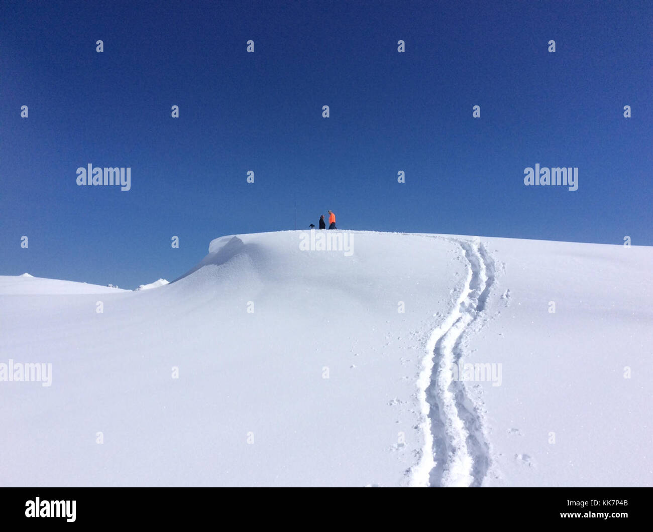 42 Feet High Resolution Stock Photography and Images - Alamy