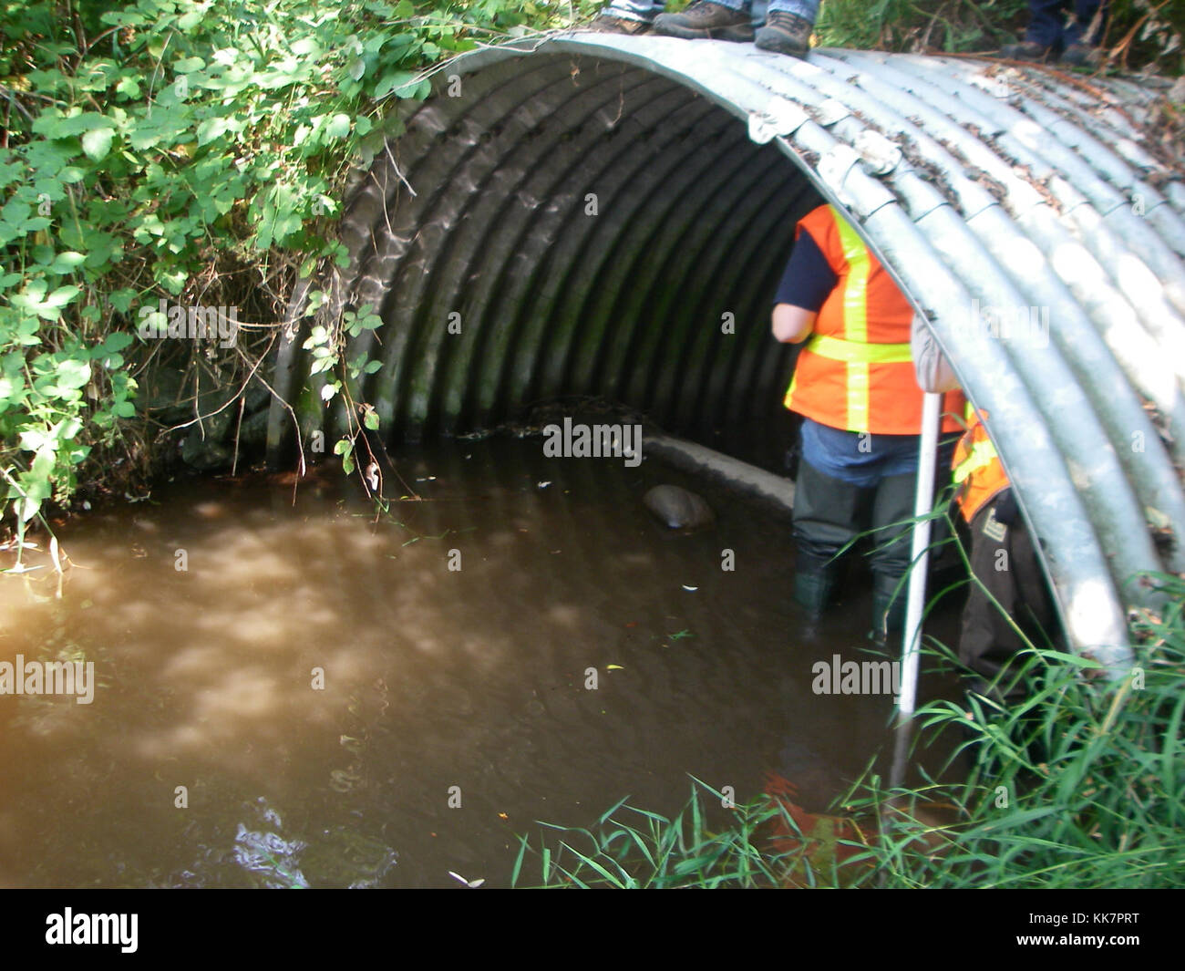In summer 2018 WSDOT will replace a culvert that is a barrier to fish passage at Gribble Creek ...