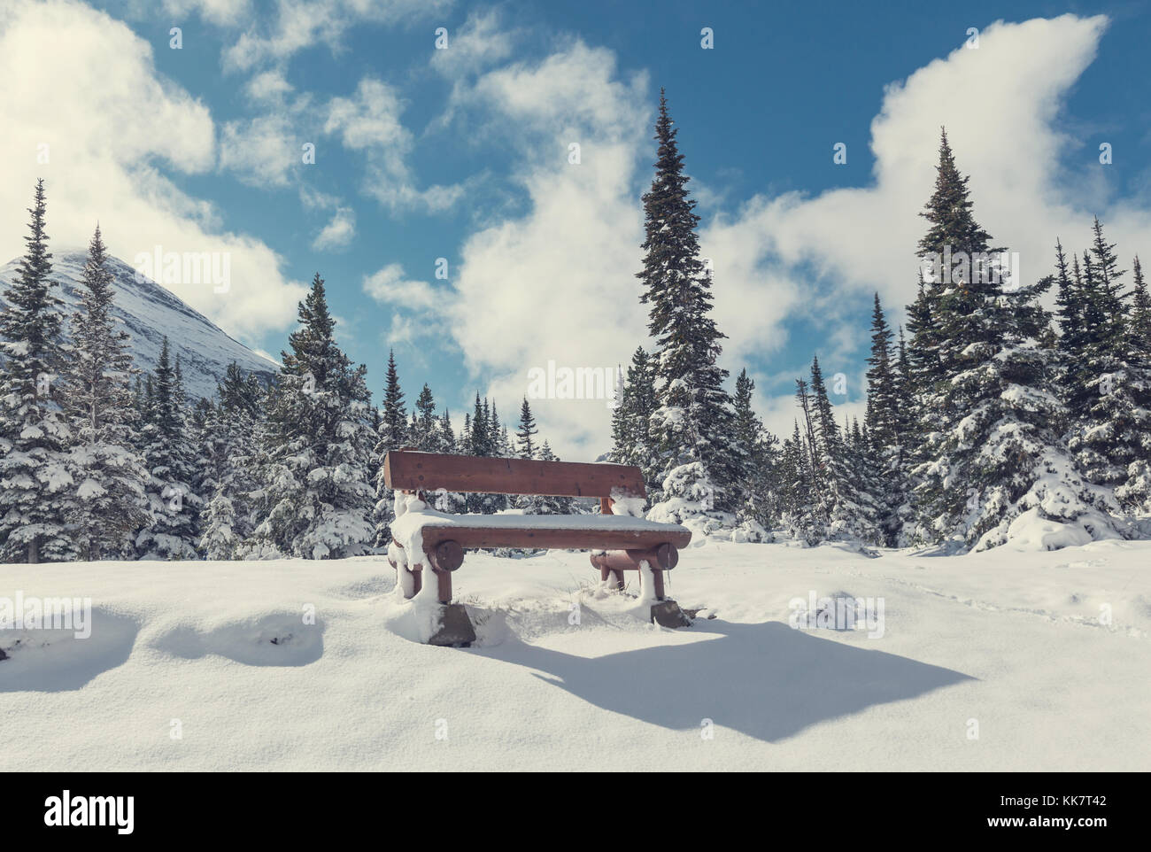 Early winter with first snow covering rocks and woods in the Glacier ...
