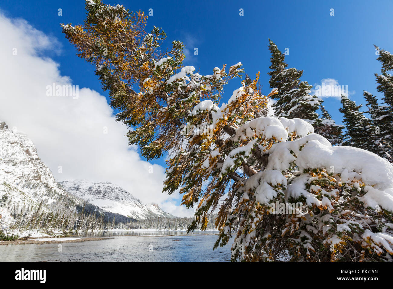 Early winter with first snow covering rocks and woods in the Glacier ...