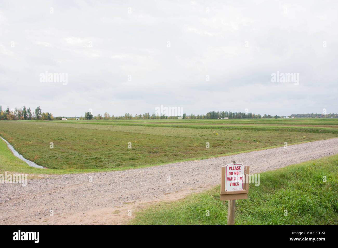 Cranberry juice ocean spray hi-res stock photography and images - Alamy