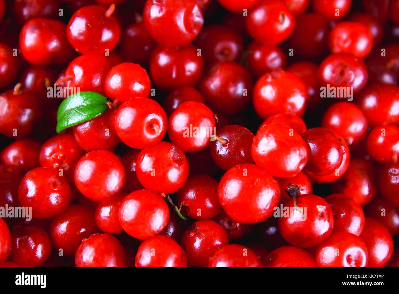 Cowberry, foxberry, cranberry lingonberry texture top view Stock Photo ...