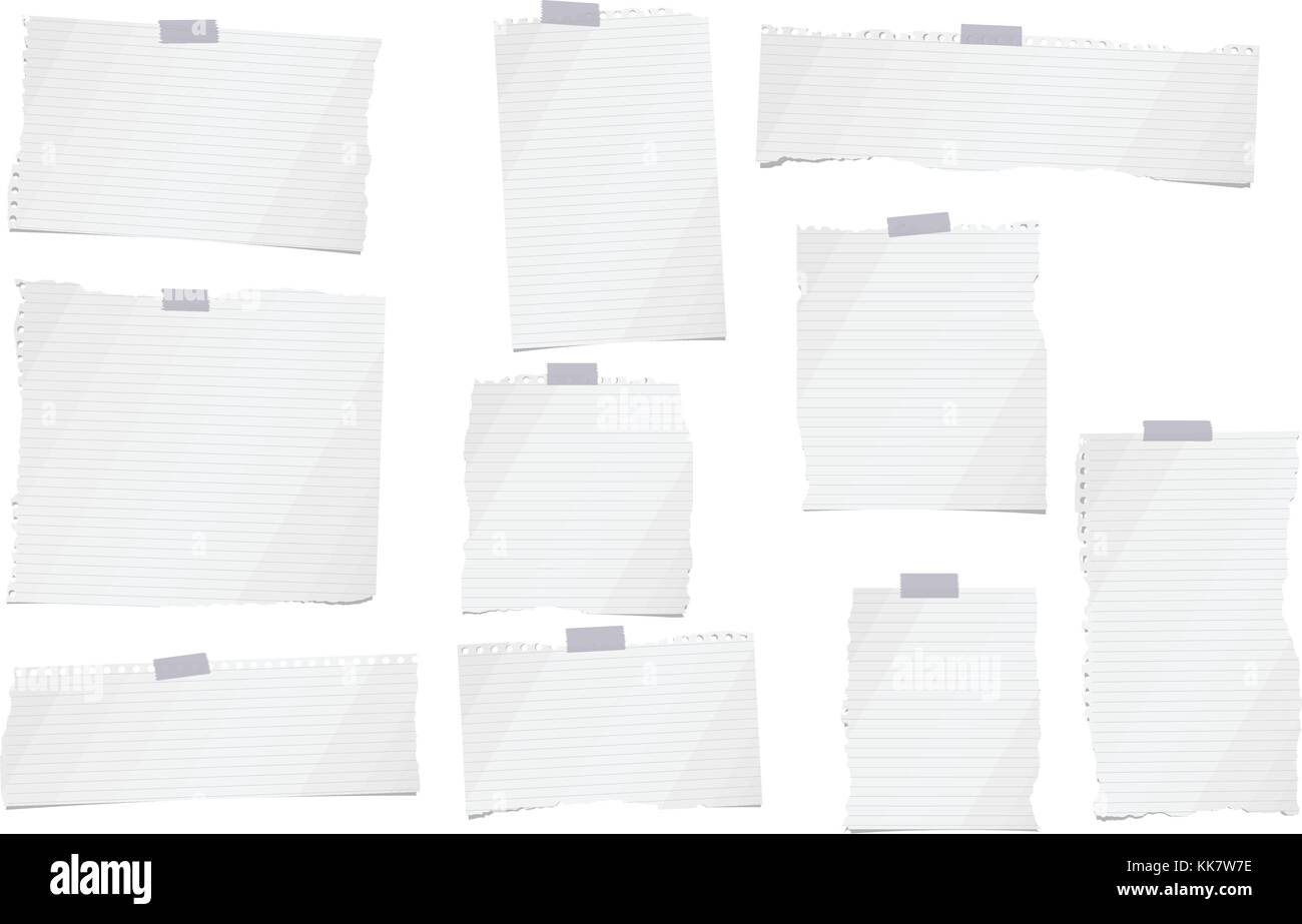 Torn lined, note, notebook, copybook paper sheets for text or message ...