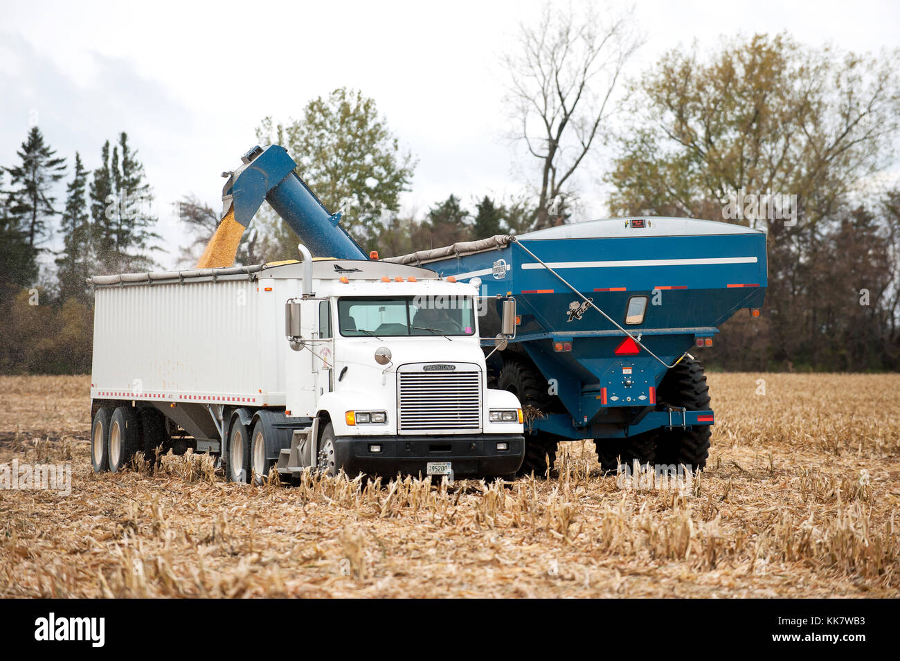 Corn crop farming hi-res stock photography and images - Alamy