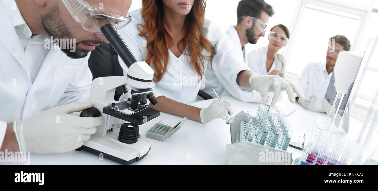 Scientists examining in the lab with test tubes Stock Photo - Alamy