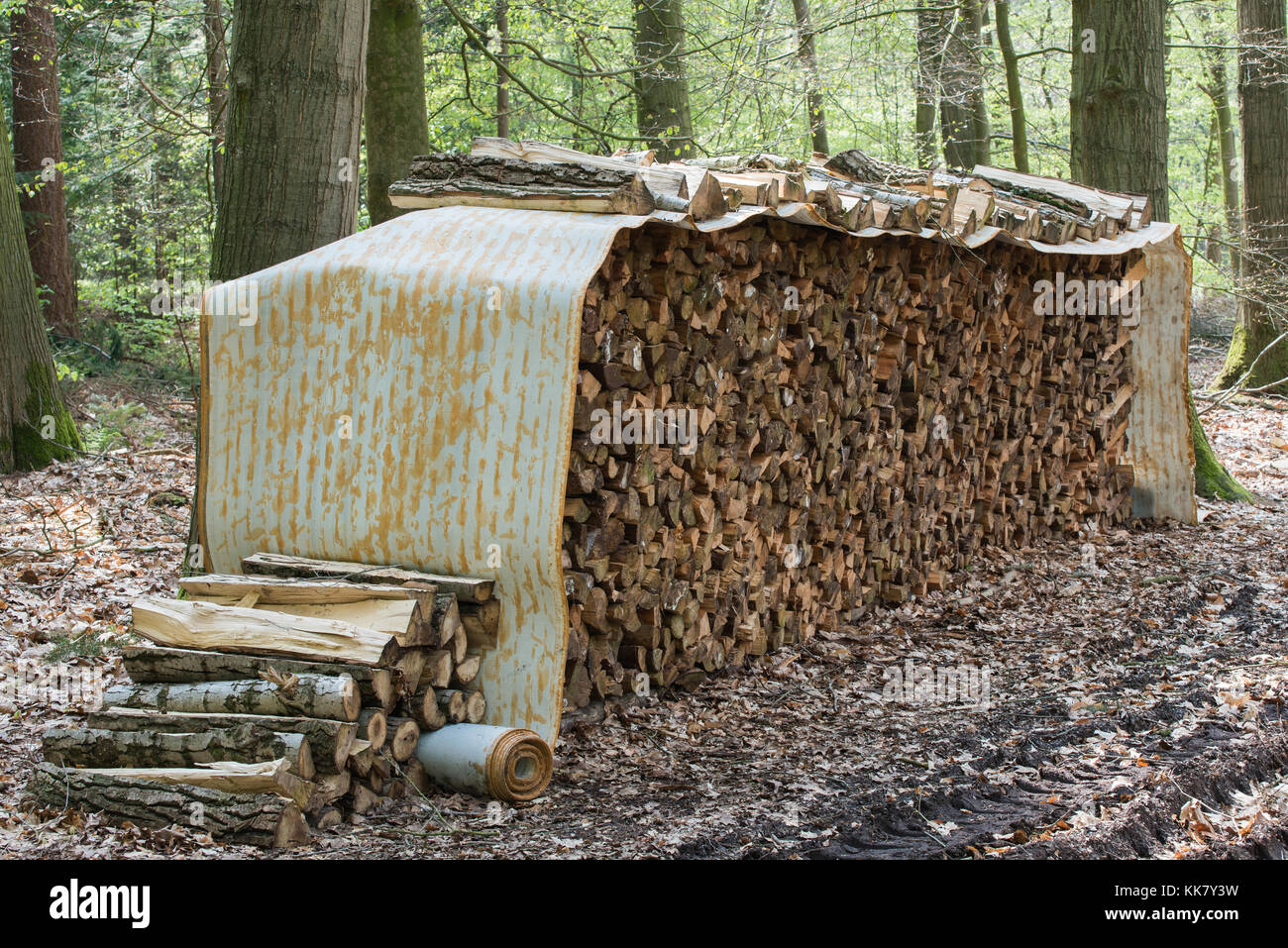 Wood logs stacked under log hi-res stock photography and images - Alamy
