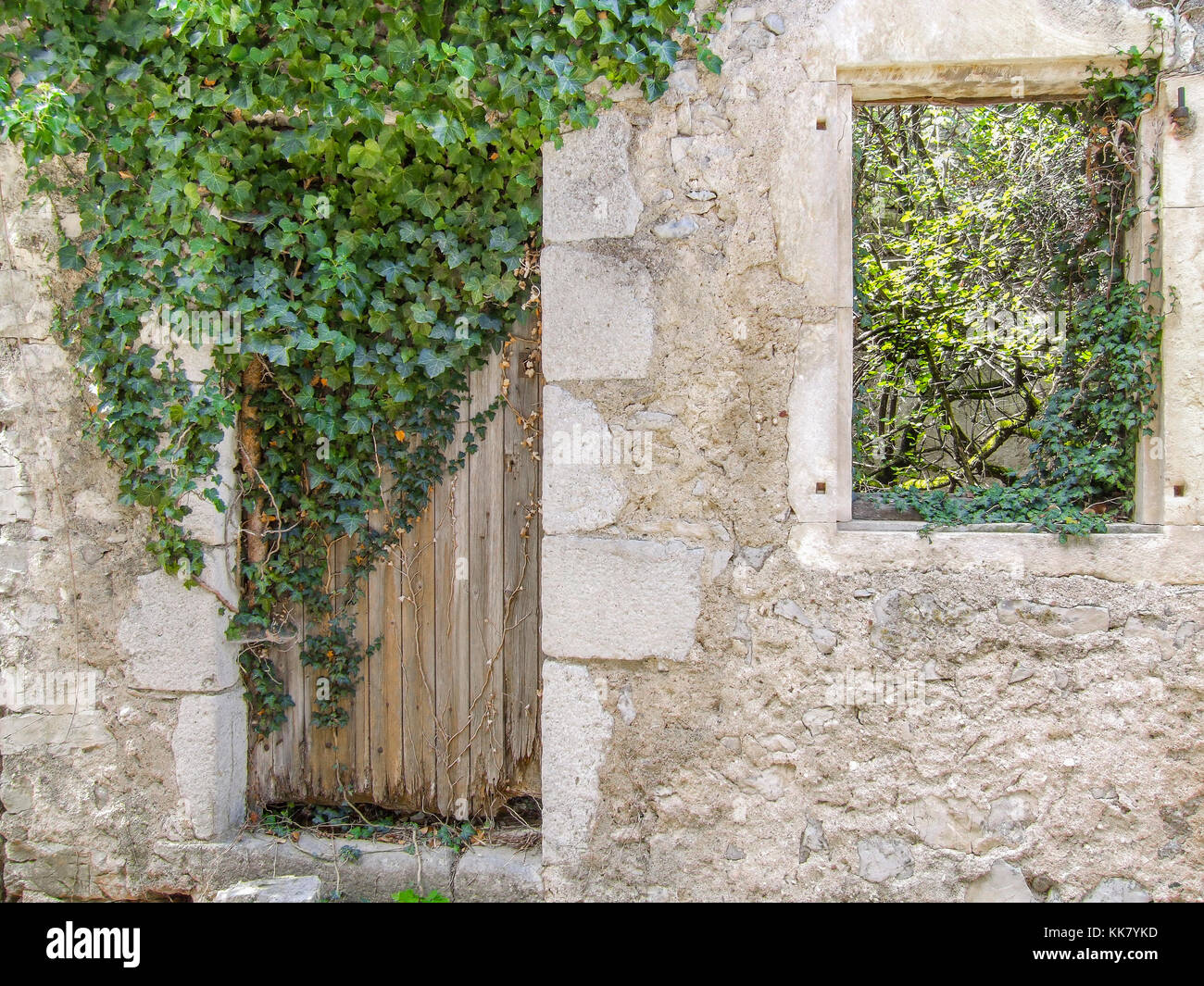 Abandoned house invaded by vegetation, Hautes-Alpes, France Stock Photo ...