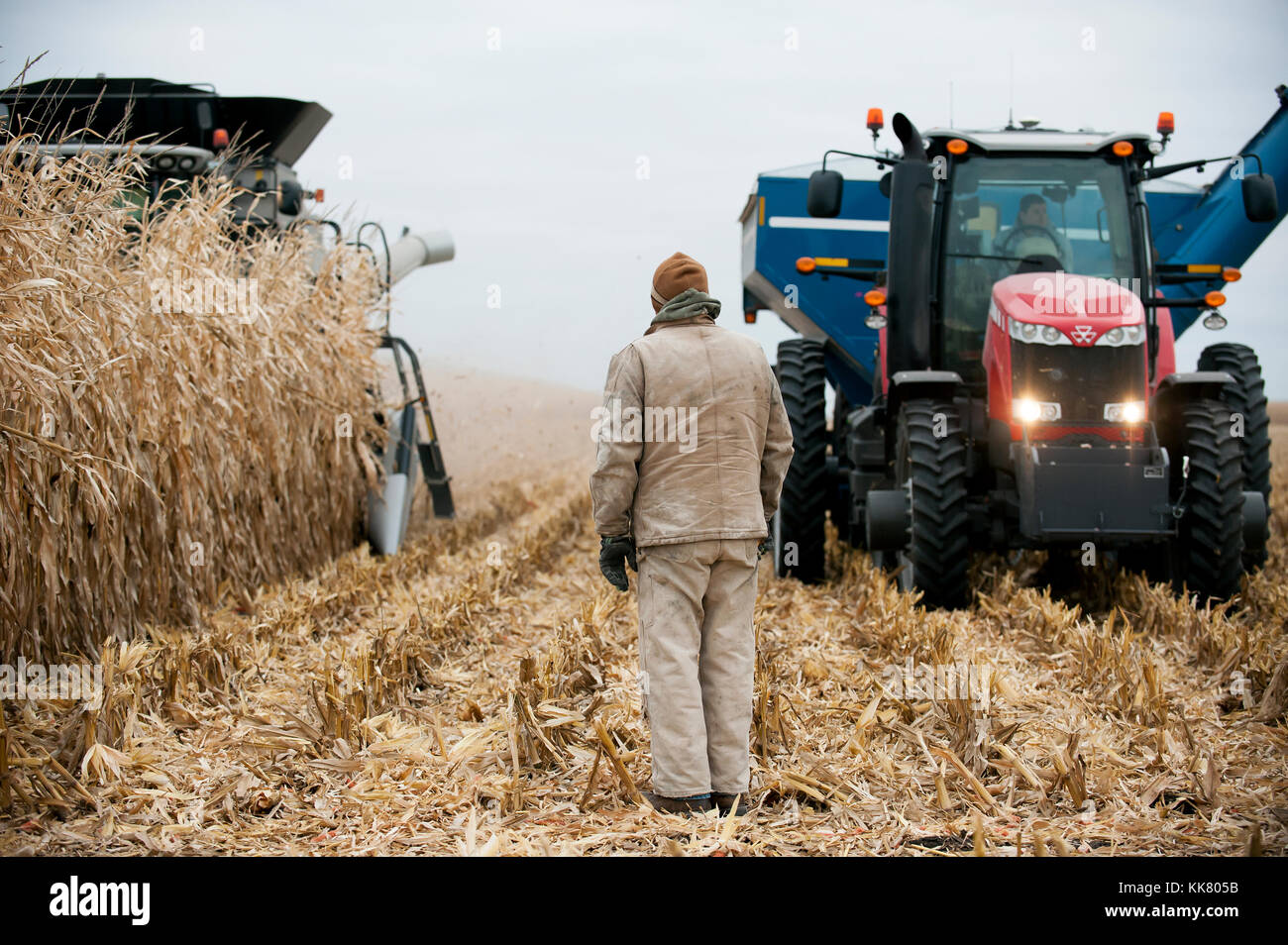 Tractor harvesting corn hi-res stock photography and images - Alamy