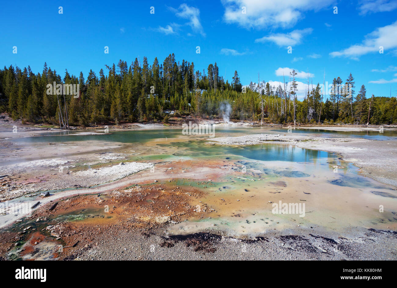 Wooden boardwalk along geyser fields in Yellowstone National Park, USA ...