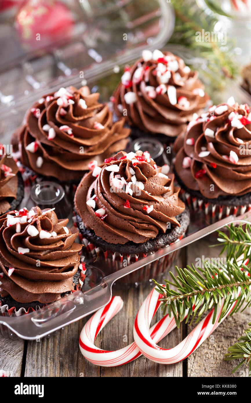 Chocolate peppermint cupcakes with candy cane Stock Photo - Alamy