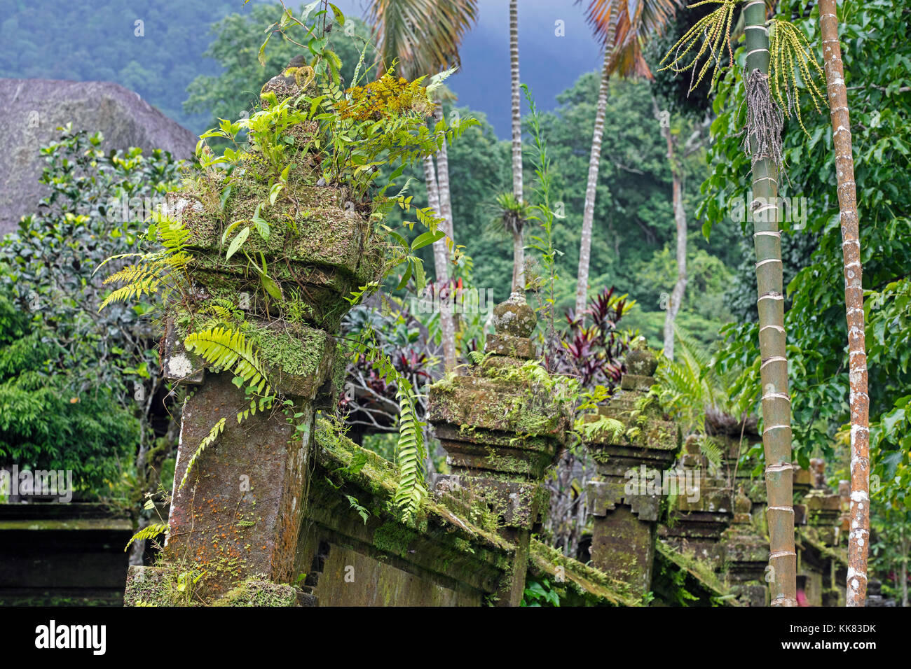 Batukaru jungle hi-res stock photography and images - Alamy