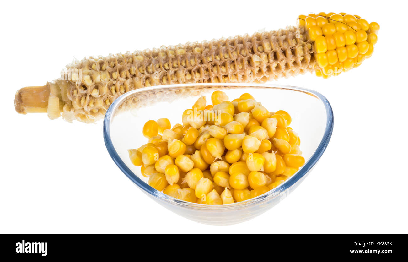 Yellow boiled corn isolated on white background. Partly eaten corncob ...